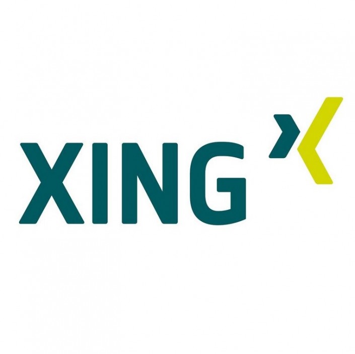 Social media in de Duitse zakenwereld | Is Xing het Duitse LinkedIn?
